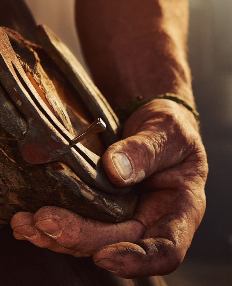 Hoefnagels - DVC Hoofcare